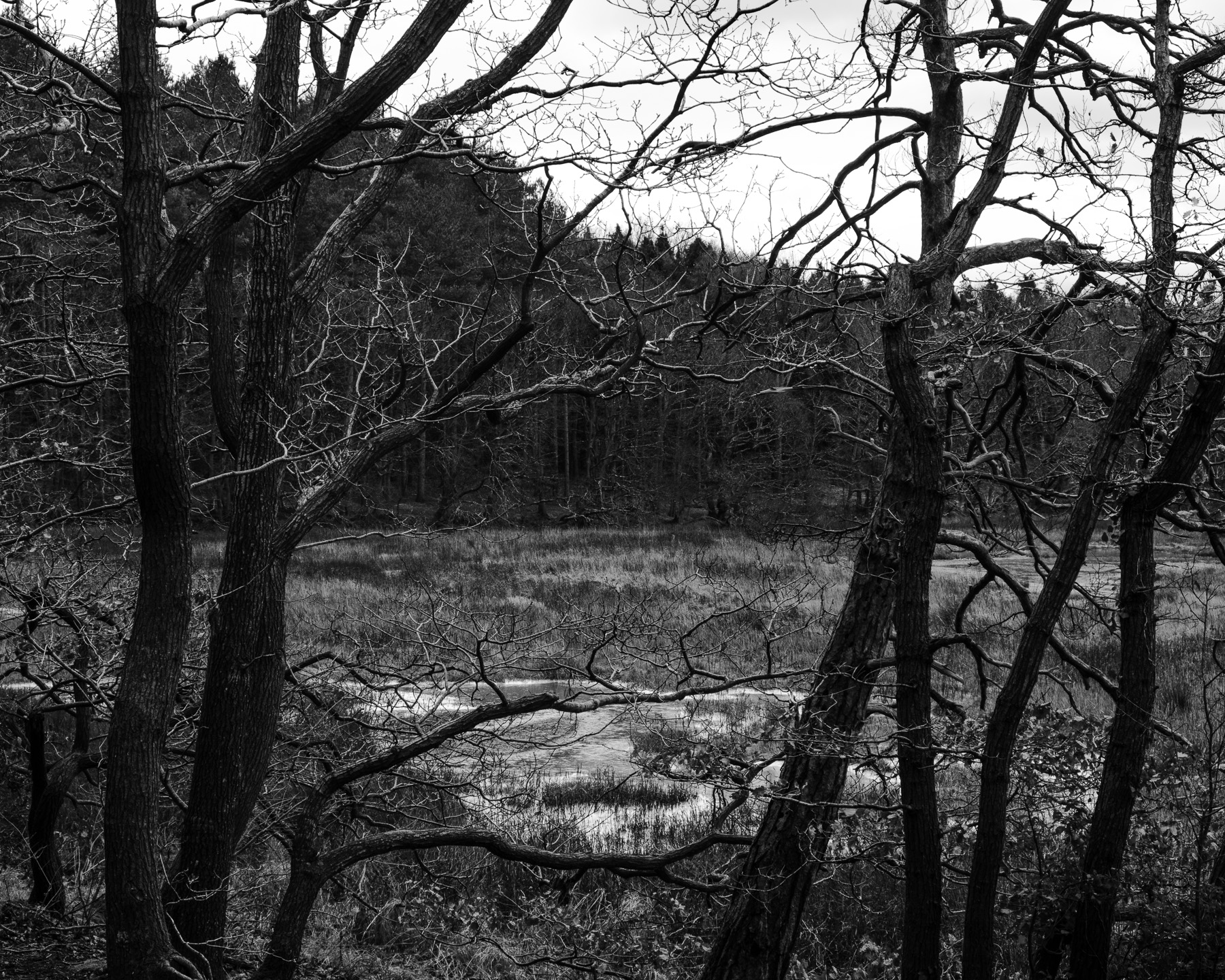 Finding Photographic Creativity with Limitations | M.P. Osborne